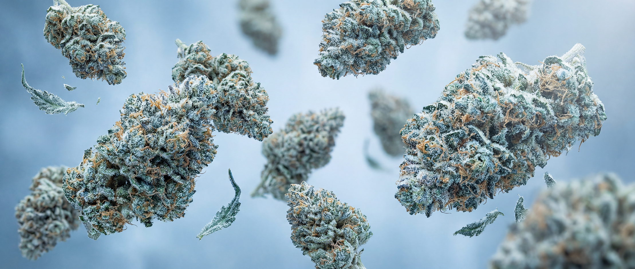 National Products - Arete | Premium Cannabis Products