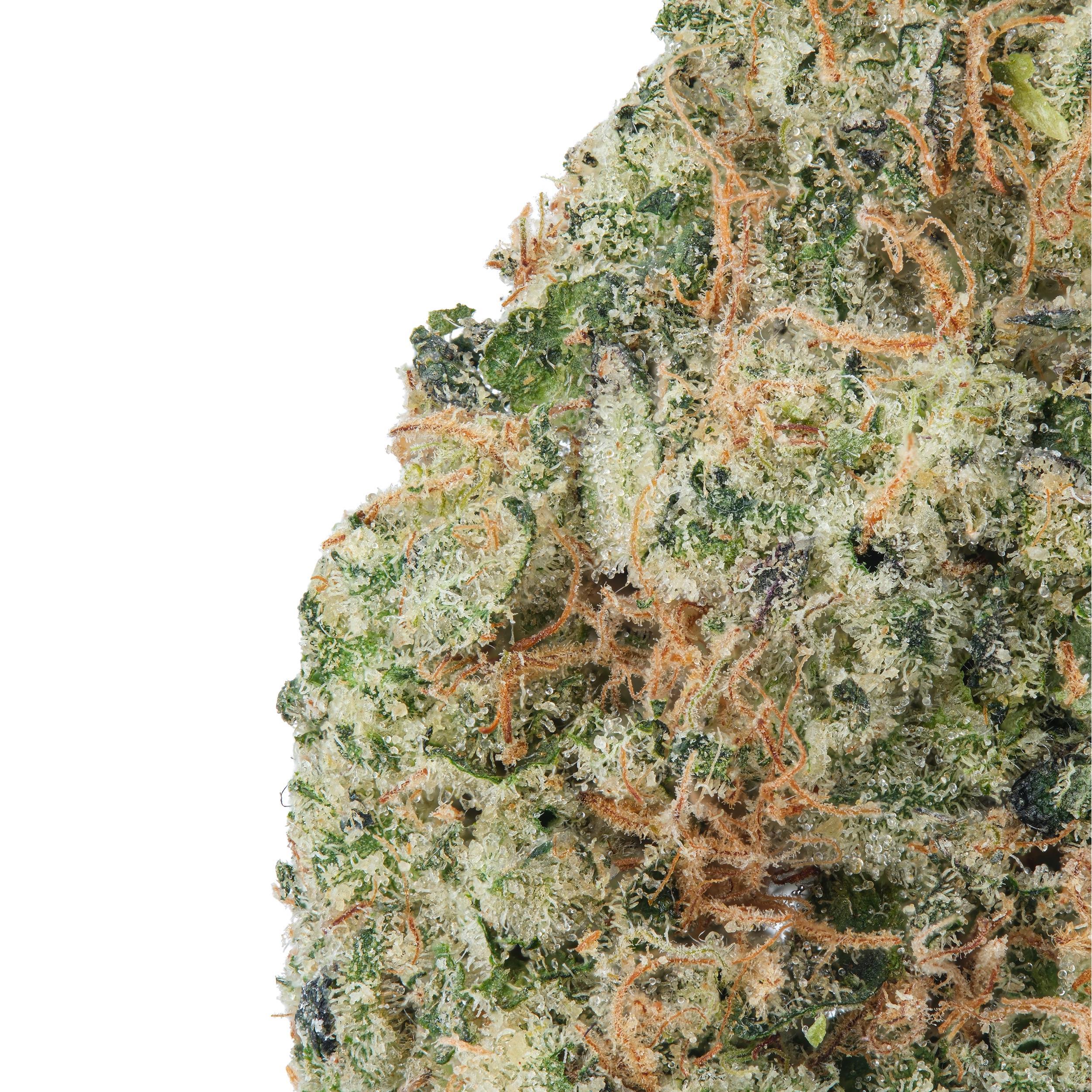 Black Maple THCa Flower - Arete | Premium Cannabis Products