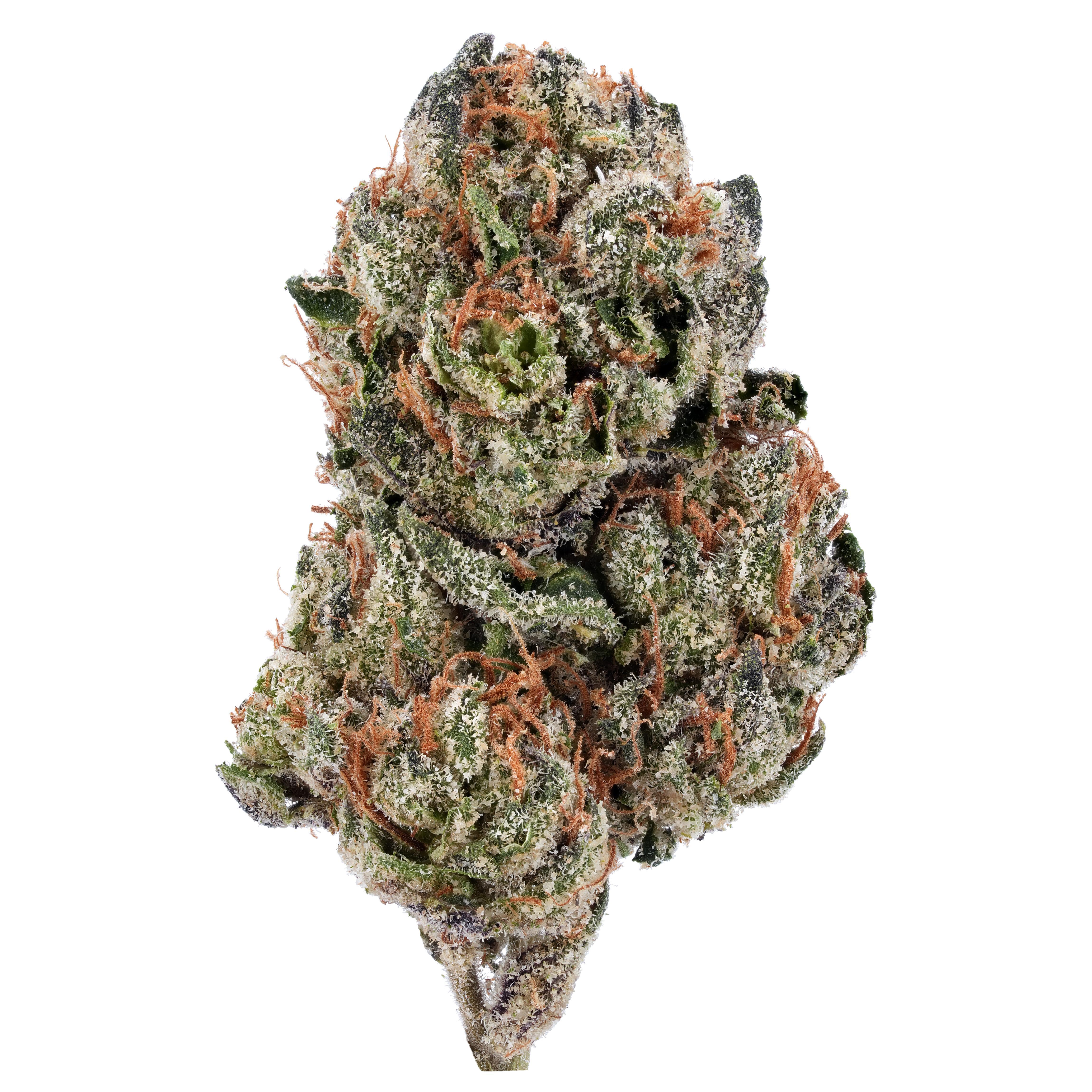 Gelato 41 THCa Flower - Arete | Premium Cannabis Products