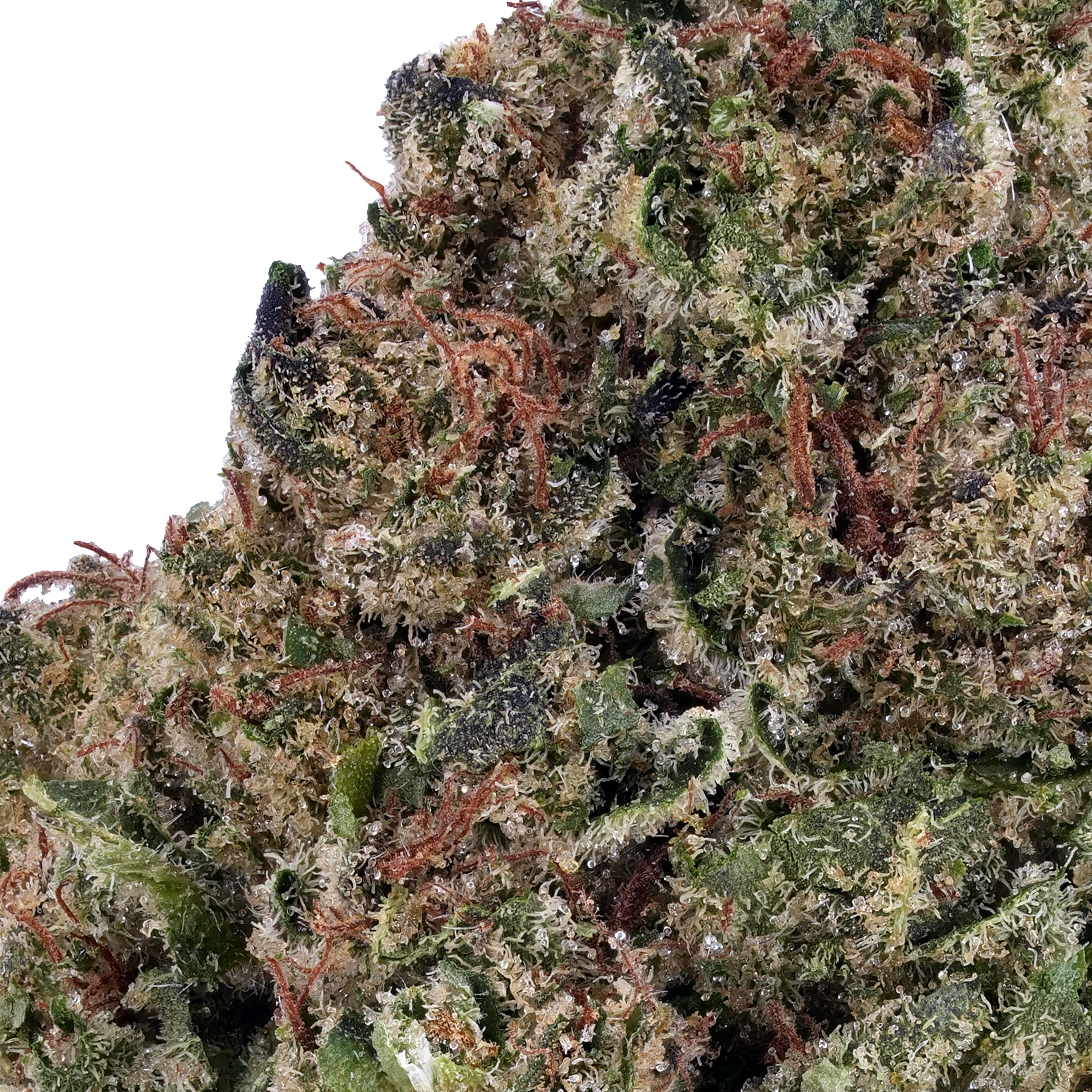 Alien Abduction THCa Flower - Arete | Premium Cannabis Products