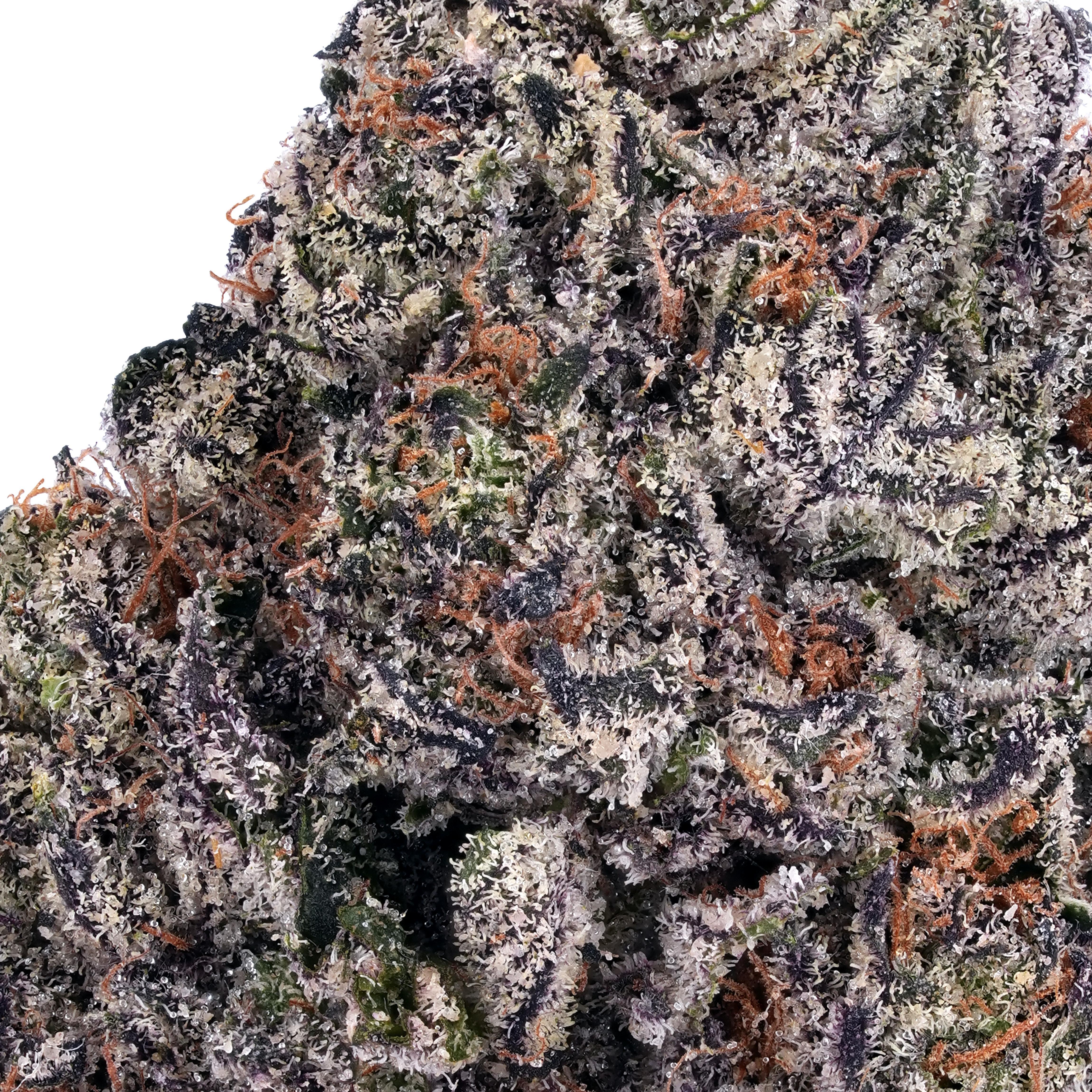 Colombian Gold THCa Flower - Arete | Premium Cannabis Products